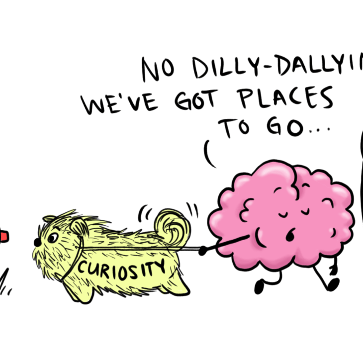 Blog – The Overthinking Brain